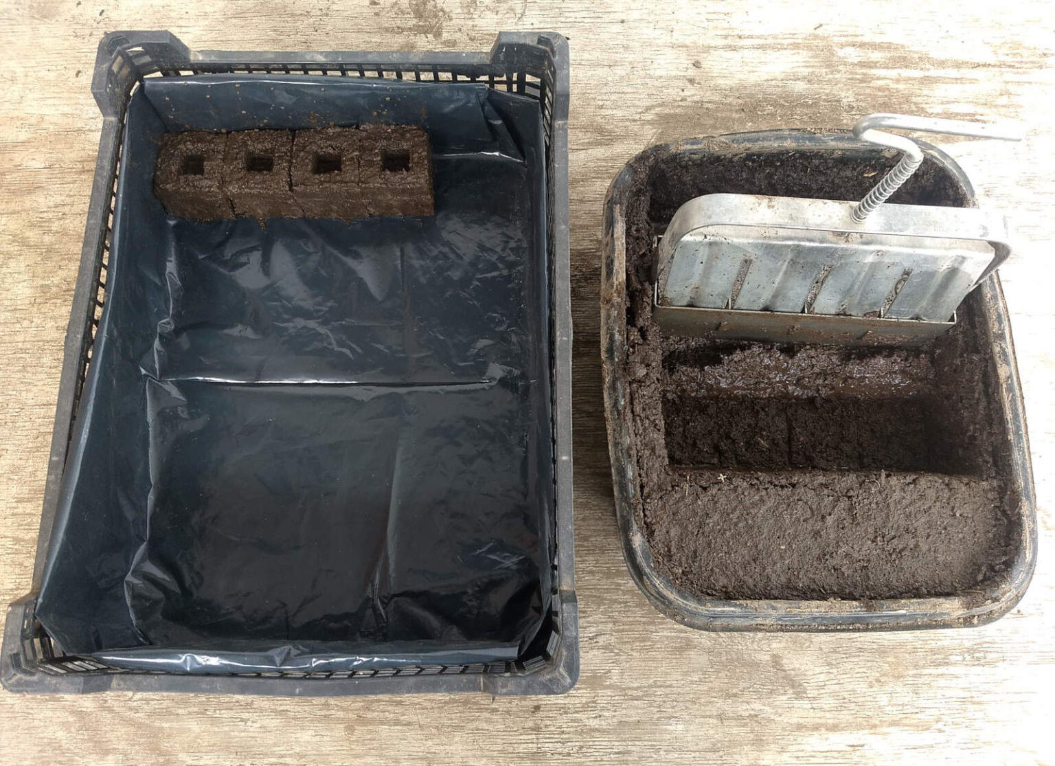 Plant tray from mushroom container - Bi-O